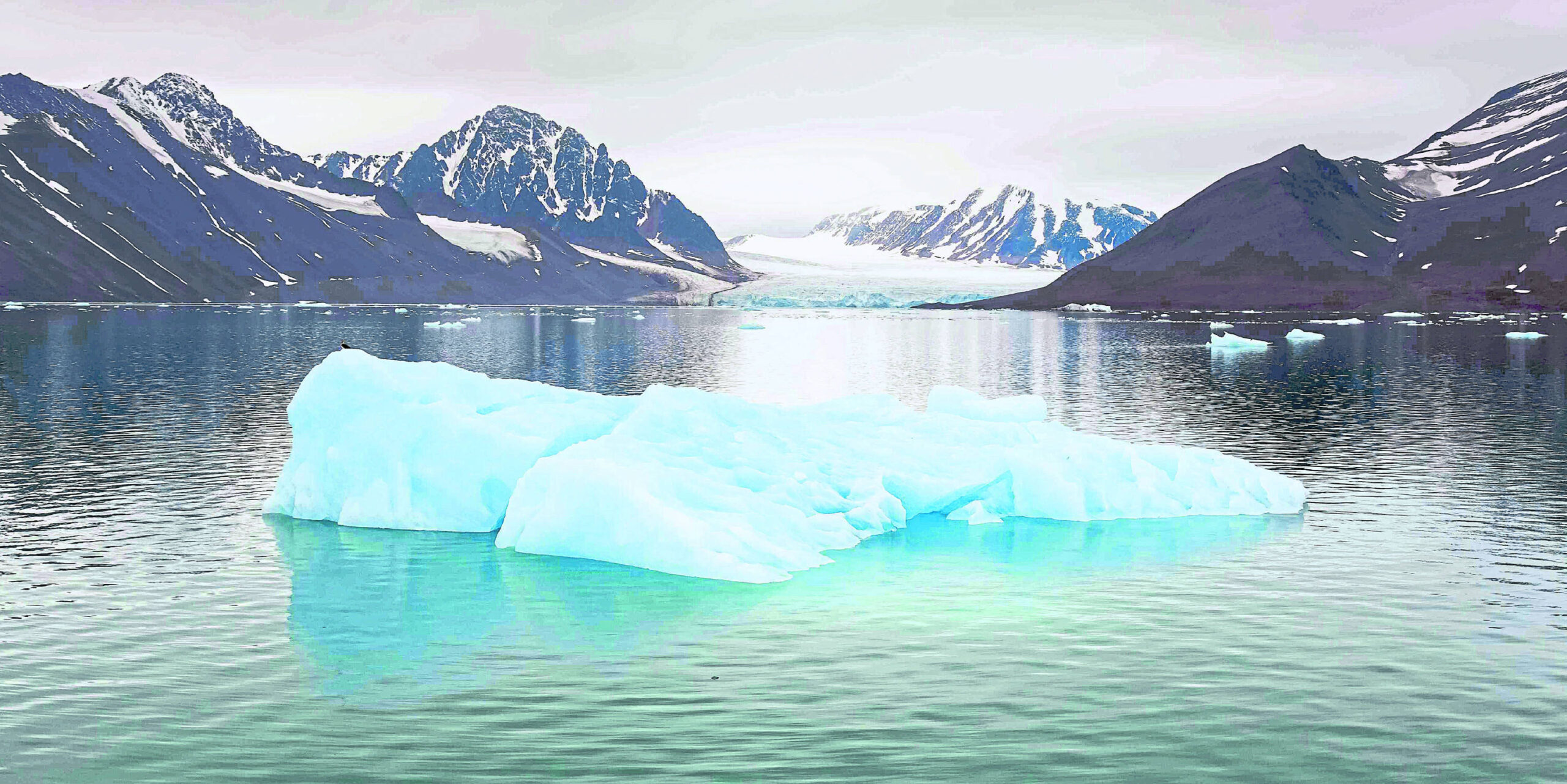 Descubre el punto exacto de fusión y congelación del agua